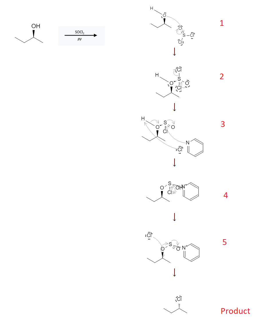 OrgoSolver | Reaction Library