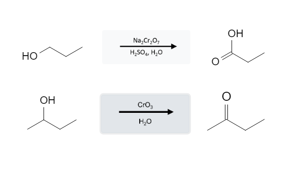 OrgoSolver | Reaction Library