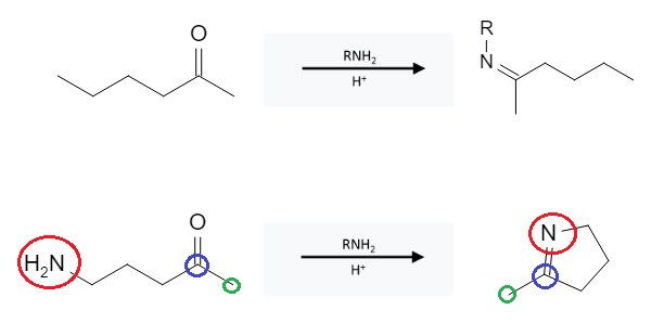 OrgoSolver | Reaction Library