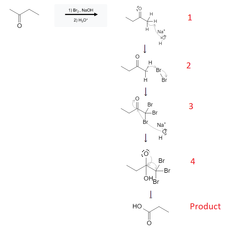 Orgosolver