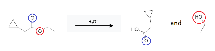 OrgoSolver | Reaction Library
